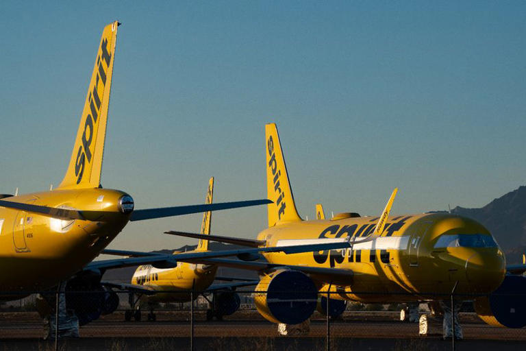TikTok creator's crowdfunding campaign to buy Spirit Airlines racks up ...