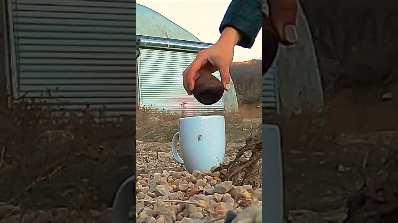 An exploding hot chocolate bomb