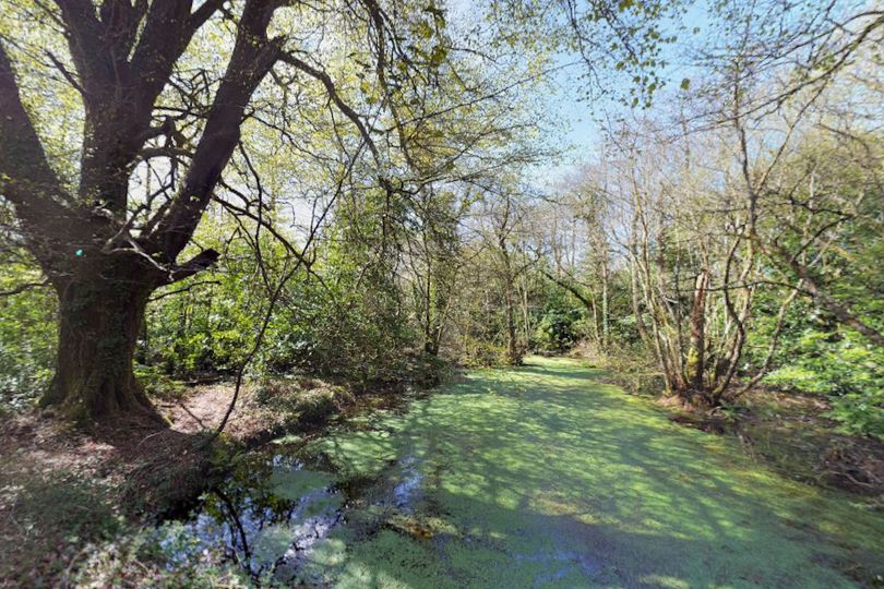 Woman found dead in Camborne woods identified