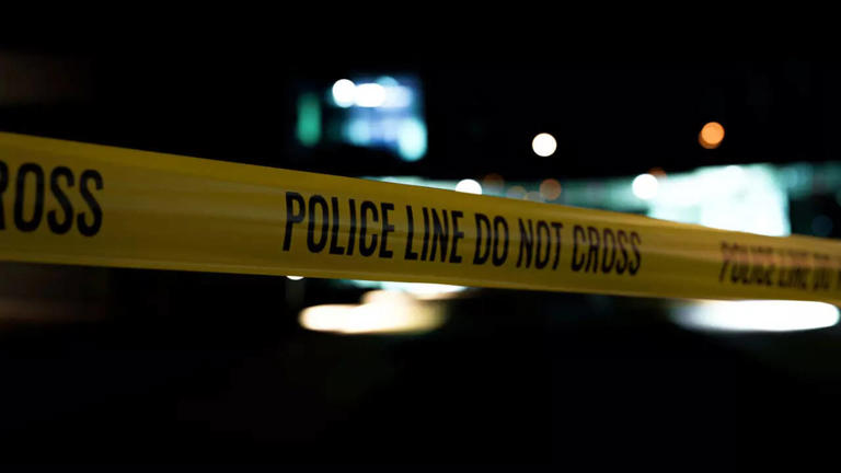 10-year-old girl kidnapped, killed in Coimbatore, CM Vijay calls it ...