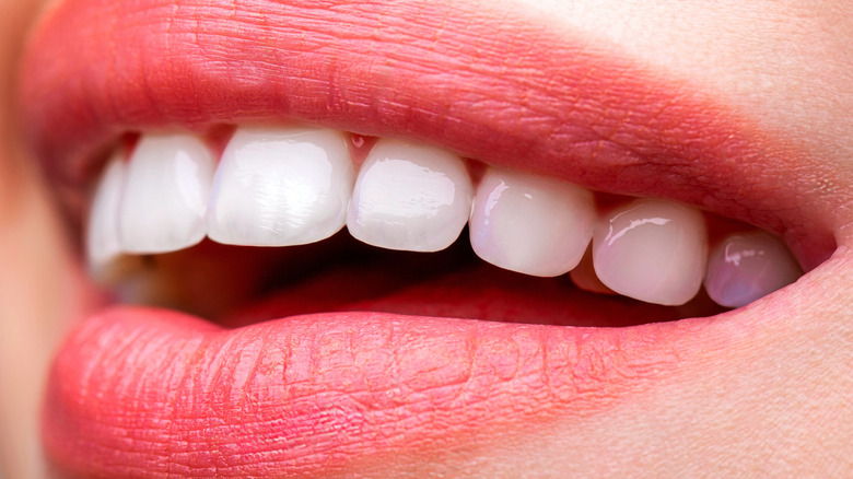 The unexpected origins of human teeth: From skin scales to bone