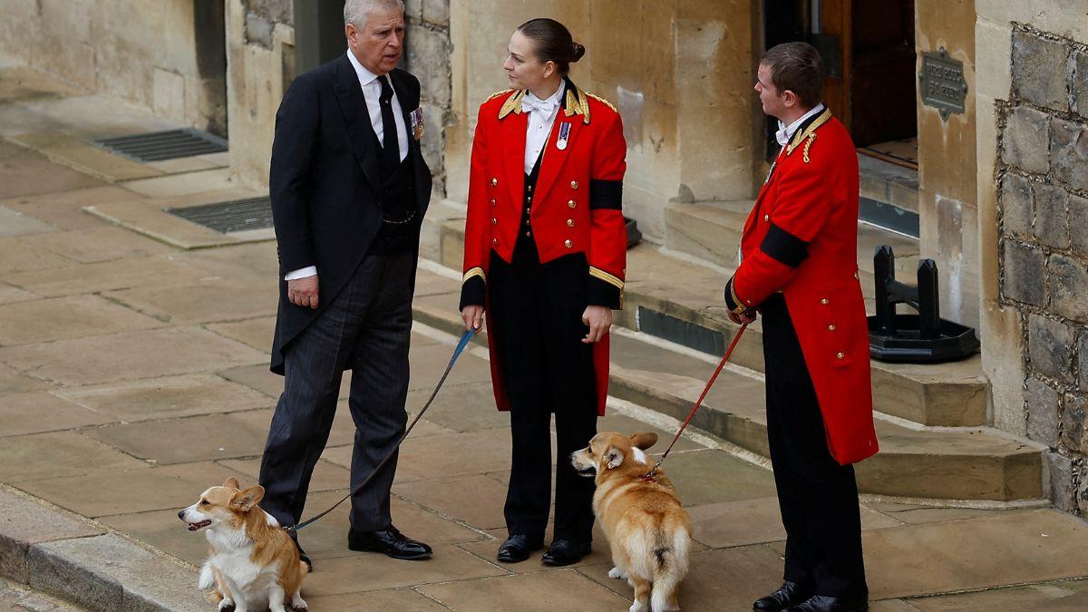 Ex-Prince Andrew has replaced his creepy teddy bear obsession with ...