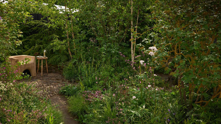 Pocket woodlands are the secret to transforming shady garden corners ...