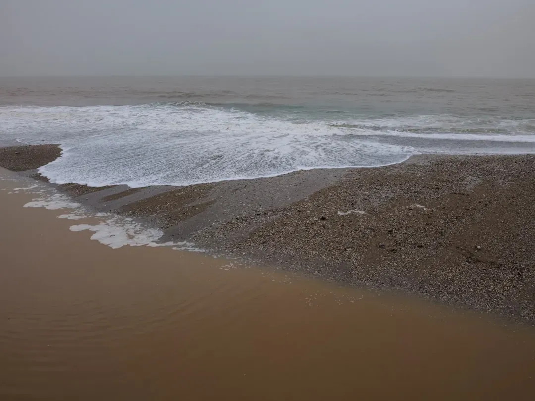 The paper homeowner trap: Why a $2M coastal home could be worth little ...