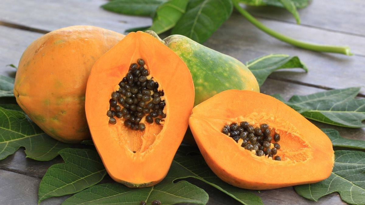 What is the scientific name of papaya?