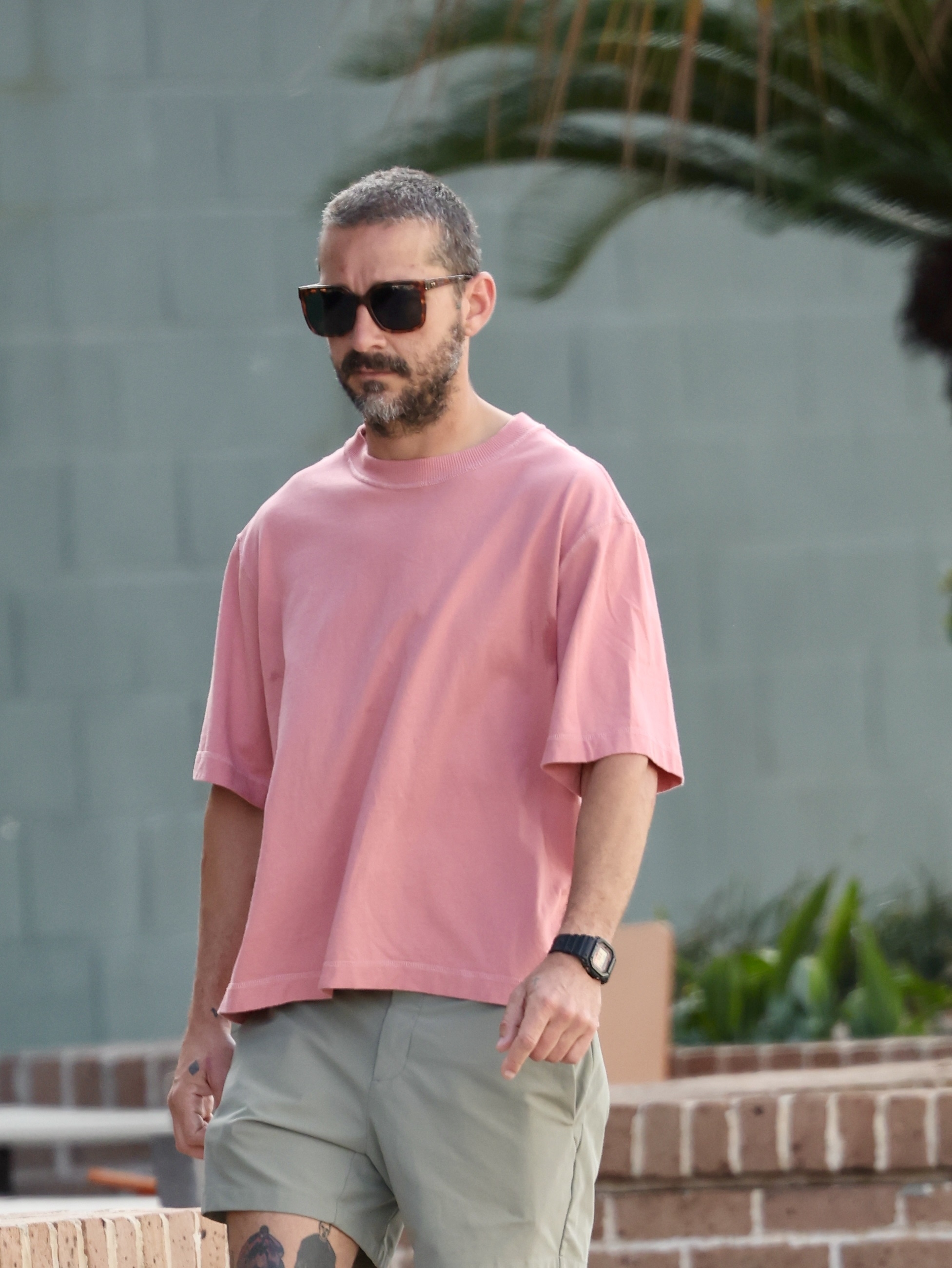 Shia LaBeouf finally charged for Mardi Gras bar brawl 3 months after ...