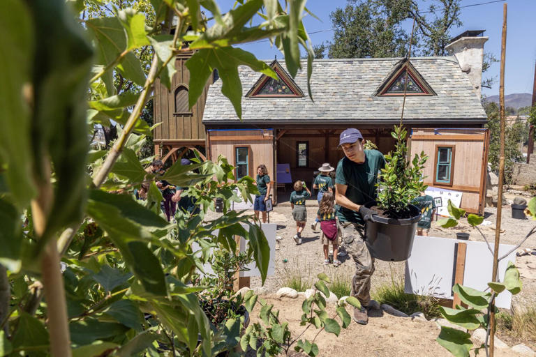 Inspired by Jane Goodall, students build nurseries to reforest LA.'s ...