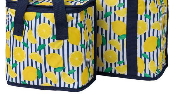 Aldi's adorable 2-pack of cooler bags is perfect for summer picnics