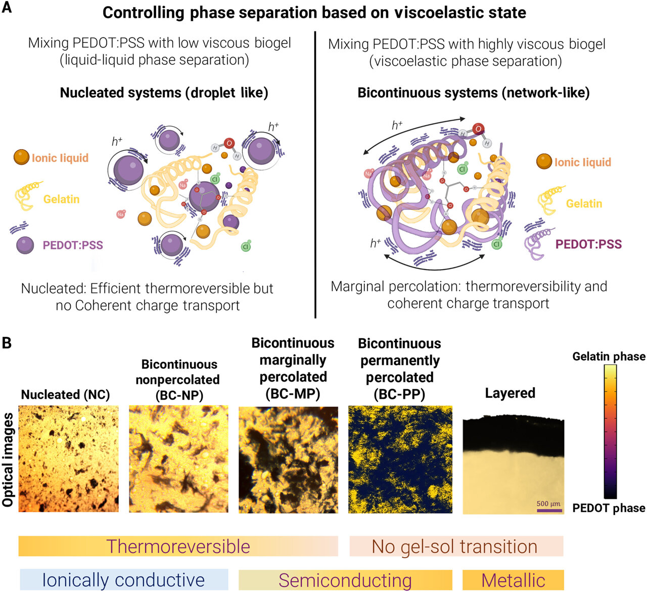 Thermoreversible biogel may solve a hairy problem for wearable brain ...