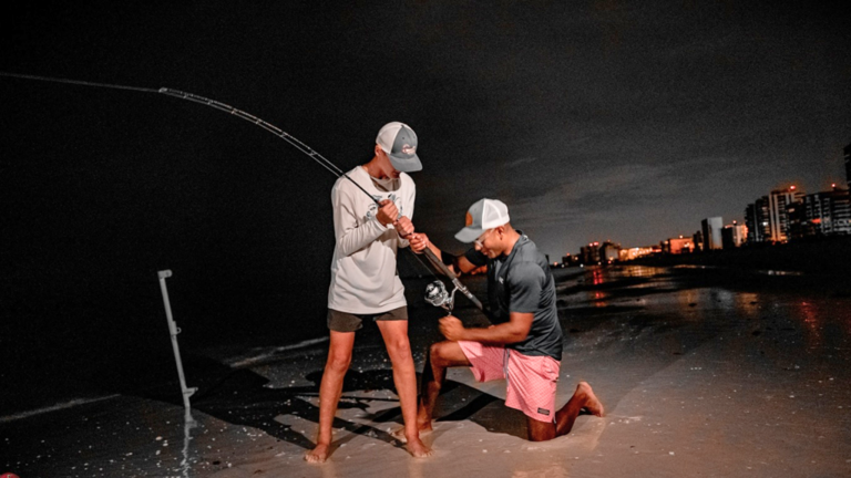 Marco Island pulls shark fishing restriction proposal amid sea turtle ...