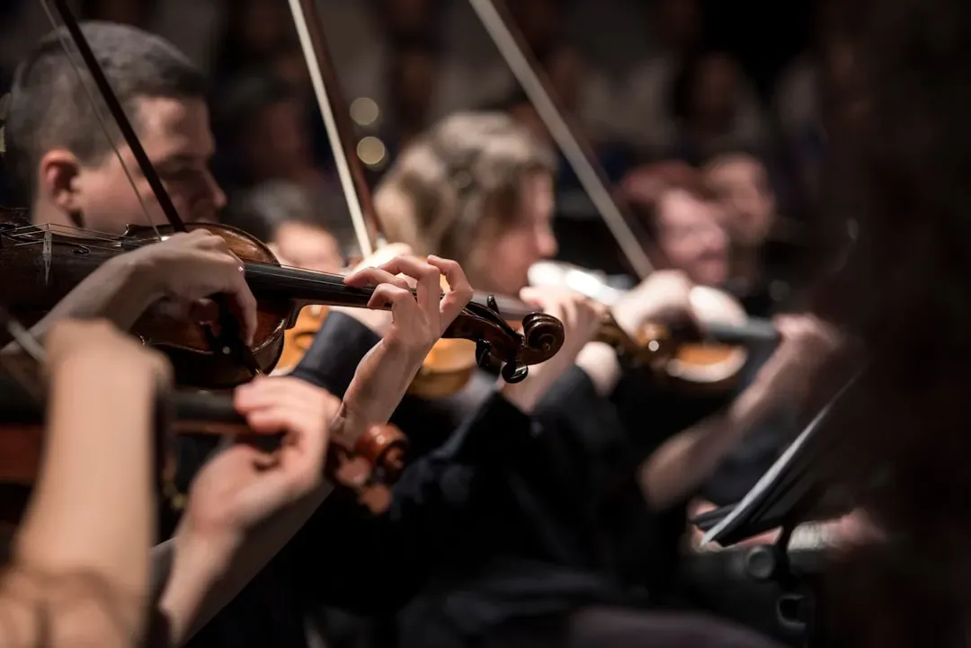 The music industry no-go list: 10 degrees experts say don't justify the ...