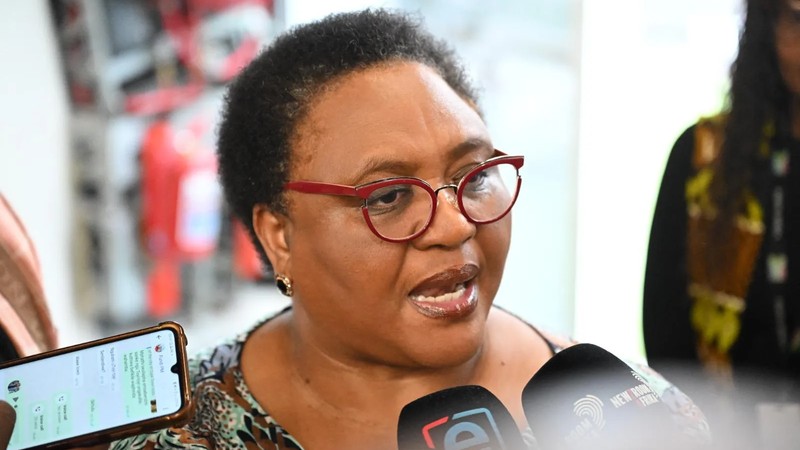 Call for 'tainted' National Assembly speaker to recuse herself from ...