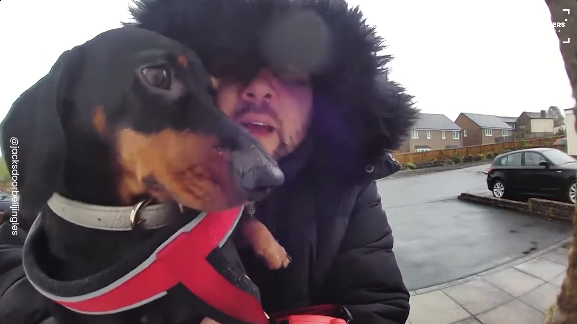 Dog and owner deliver hilarious musical performances on doorbell camera ...
