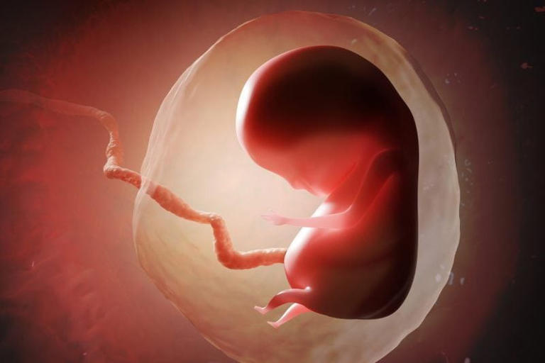 Israeli traveler caught with human embryos at northern Cyprus airport