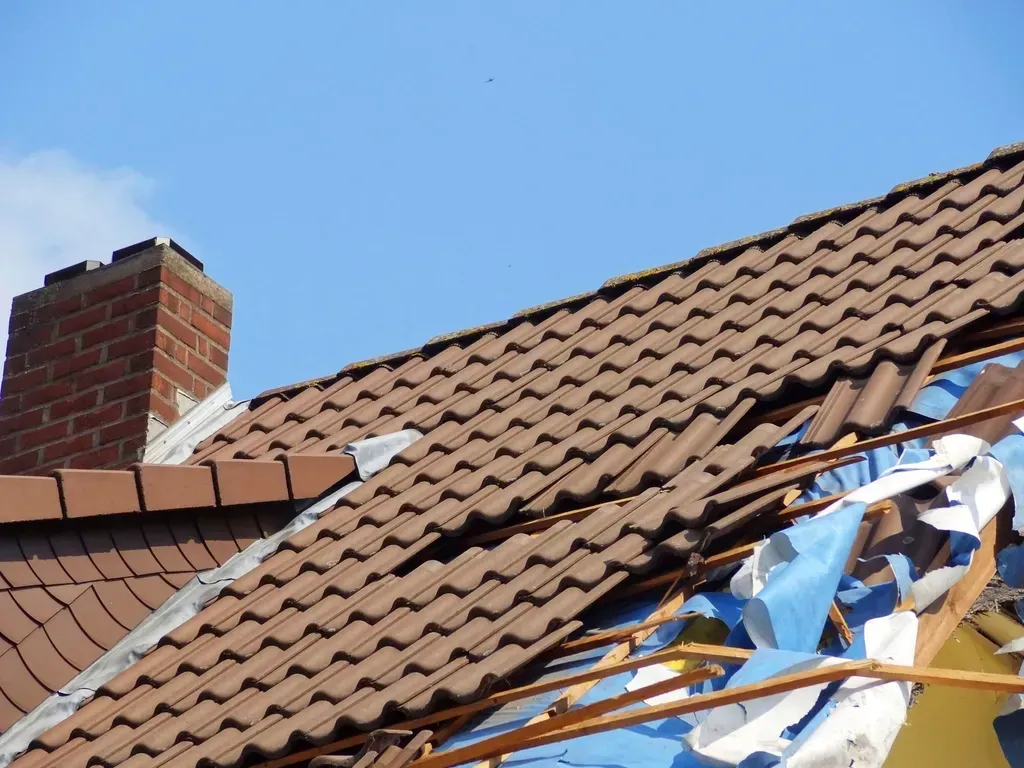 After 5 years inspecting homes, these 8 red flags became my biggest ...