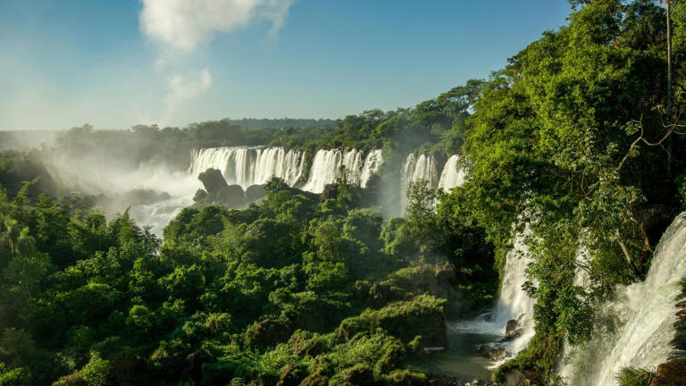Which is the largest rainforest in the world?