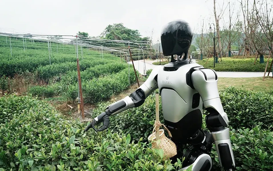 Humanoid robots face real-world tea farm test in China