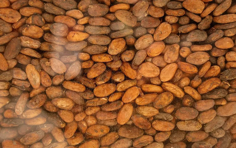 How to spot truly premium chocolate bars