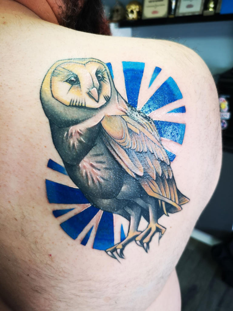 20 Sheffield Wednesday tattoos proudly shown off by Owls fans