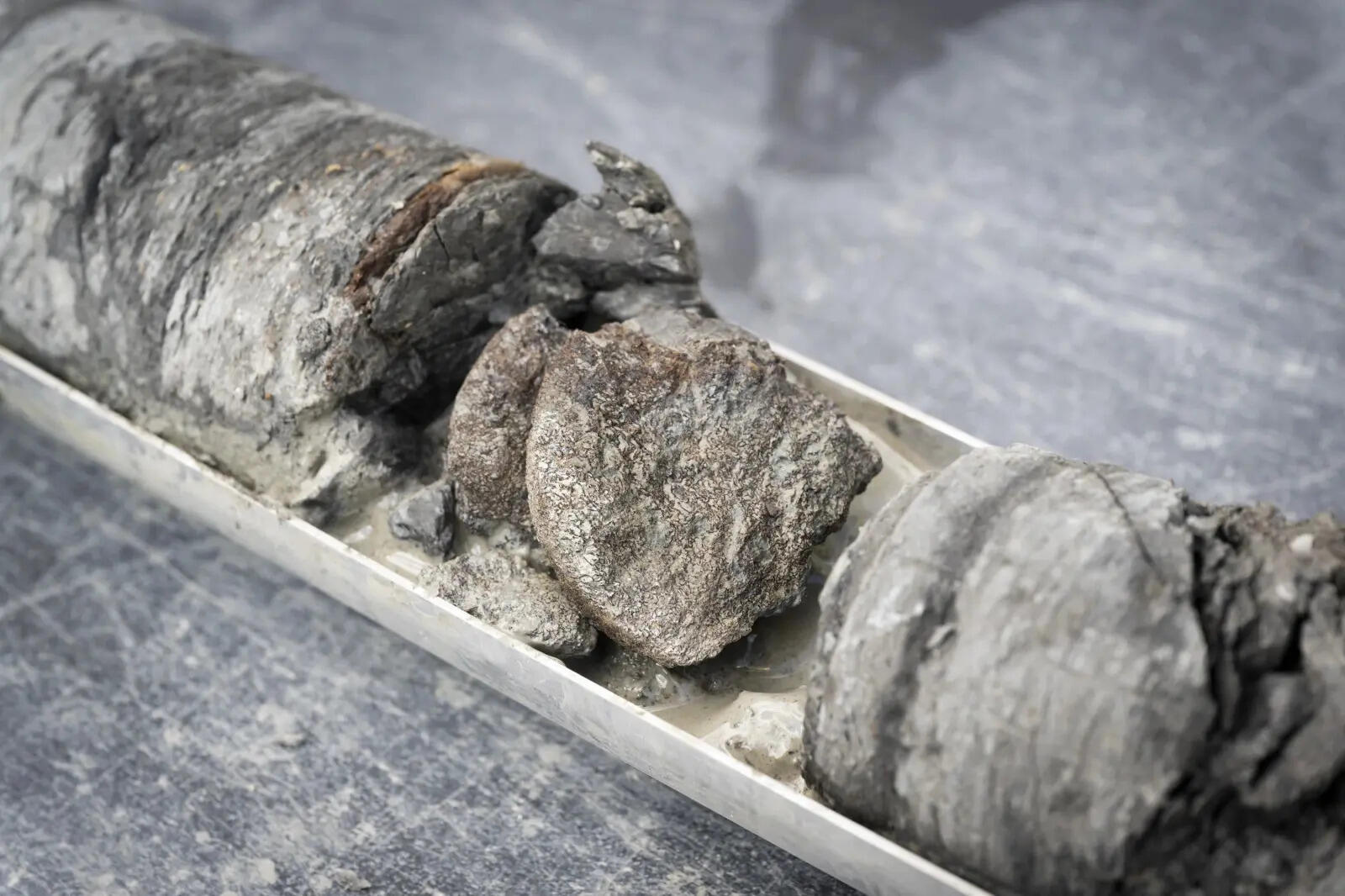 In 2024, drilling beneath a museum parking lot uncovered a rare ...