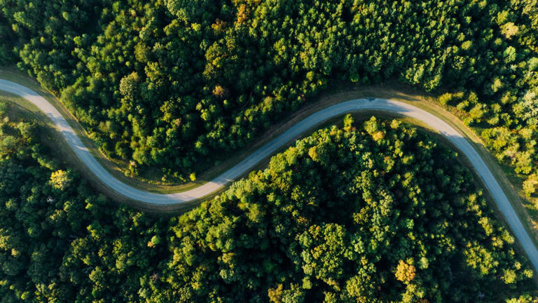 Which is the largest rainforest in the world?