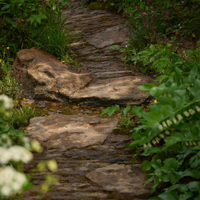 Pocket woodlands are the secret to transforming shady garden corners ...