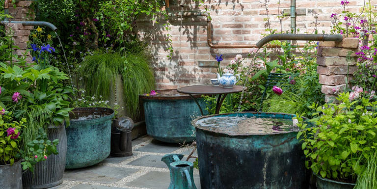 Small garden? Chelsea Flower Show designers say these tricks really work