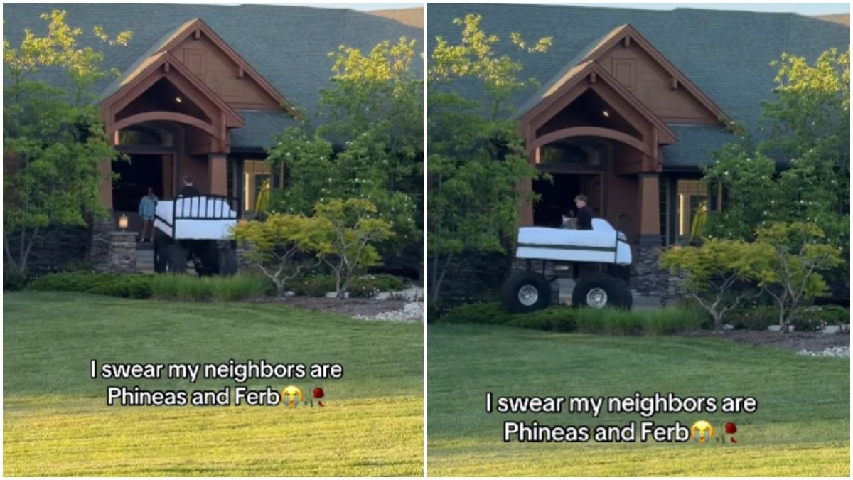 US man finds 'real-life Phineas and Ferb' next door, guess what they ...