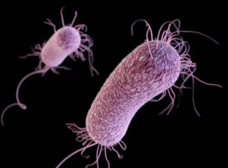 Des microbes gelés venus d’un passé lointain menacent de se réveiller ...