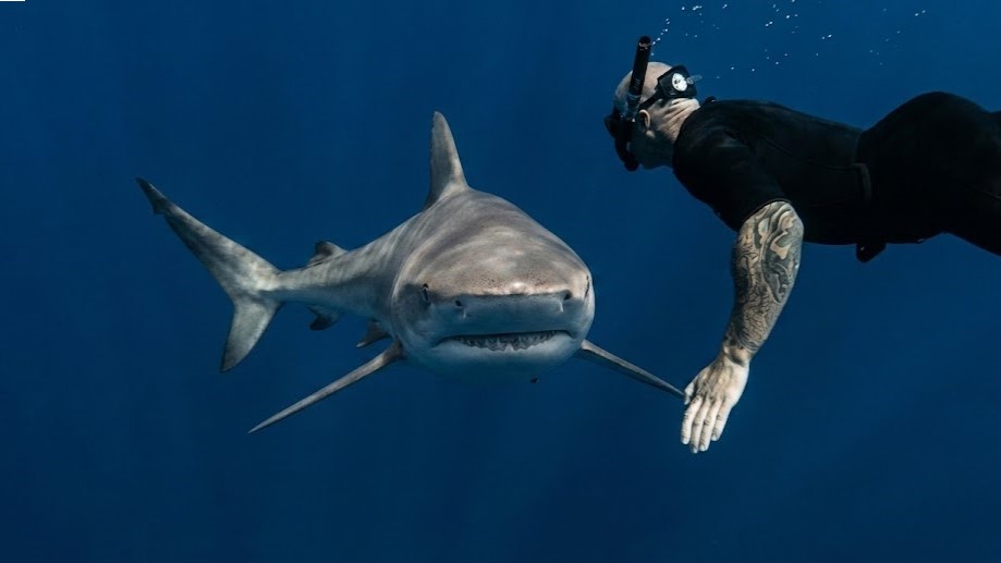 This shark tore off his arm in 8 seconds - but he somehow survived