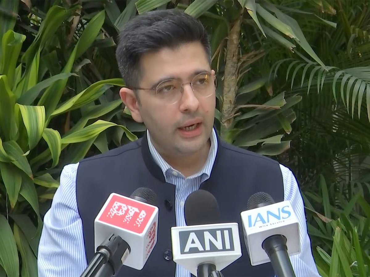 BJP's Raghav Chadha appointed chairman of Rajya Sabha Committee on ...