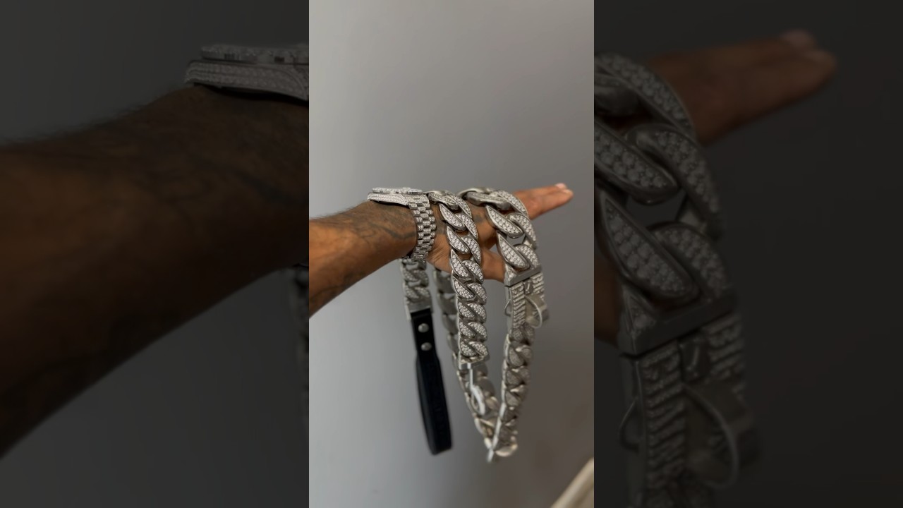 This oversized dog collar is impossible to miss