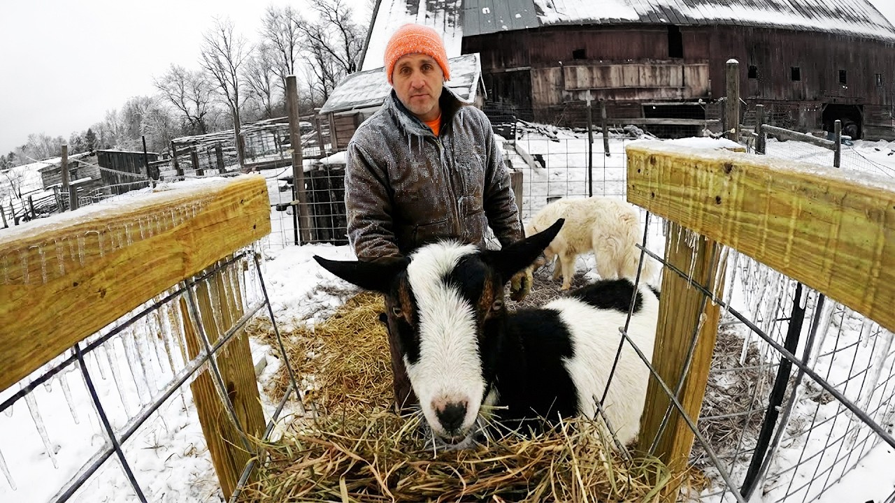 Ice storms and a goat health crisis hit hard