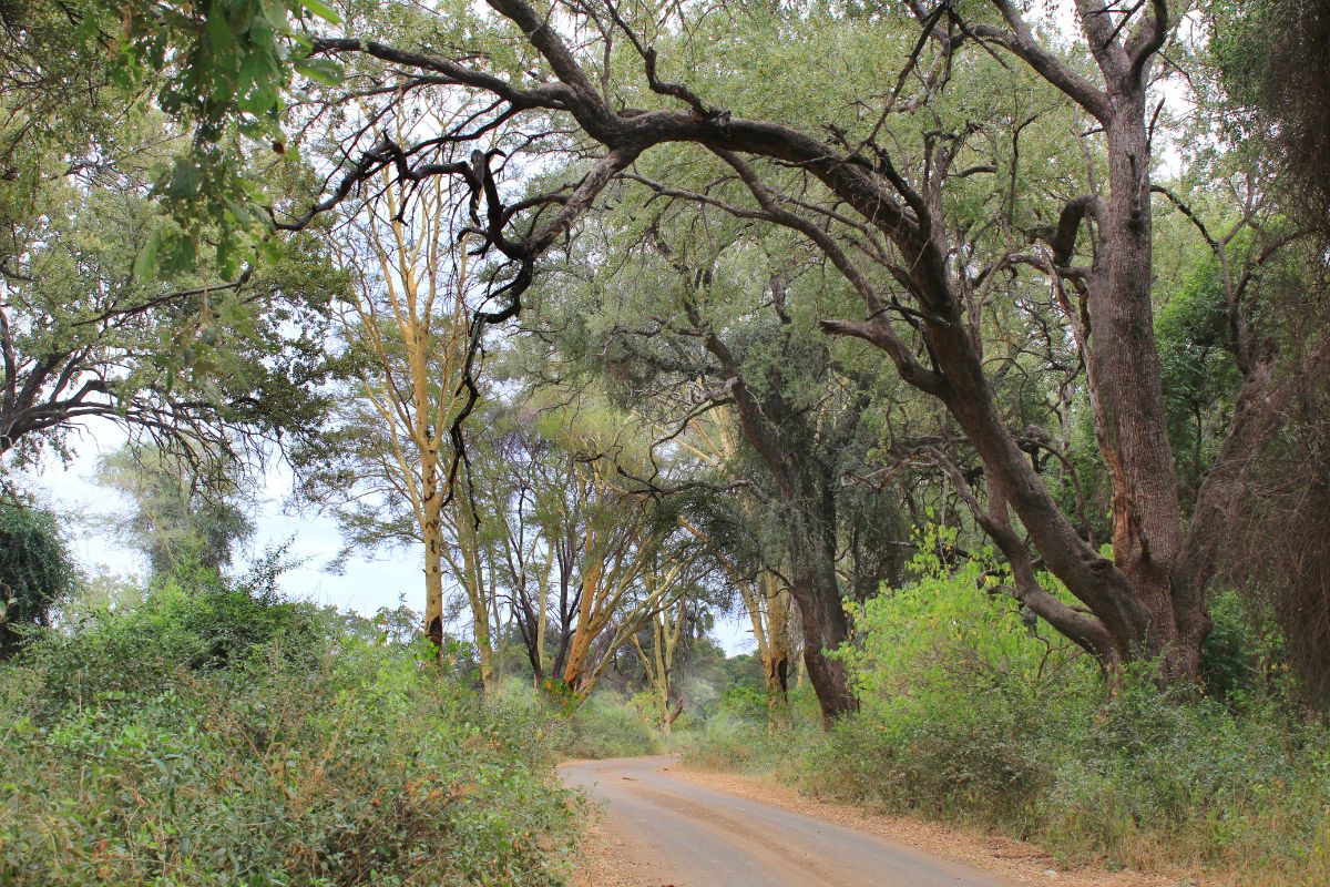 Kruger National Park tragedy shocks South Africans