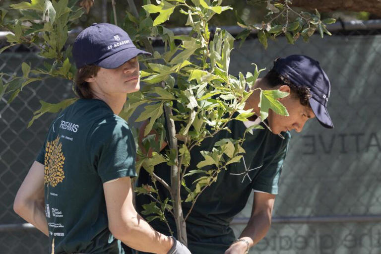 Inspired by Jane Goodall, students build nurseries to reforest LA.'s ...