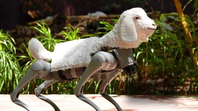 Ahead of Eid al-Adha, PETA deploys AI robot goat to speak against ...