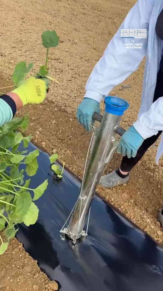 Semi-automatic seedling planter