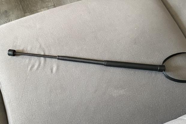 'Offensive' police-style baton and 40 cannabis plants found during ...