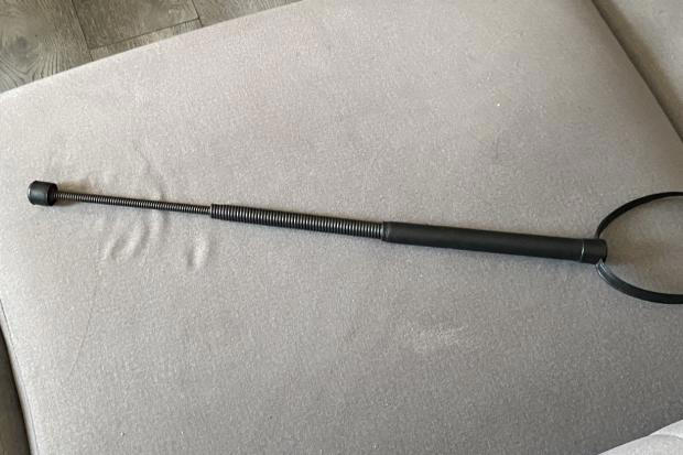 'Offensive' police-style baton and 40 cannabis plants found during ...