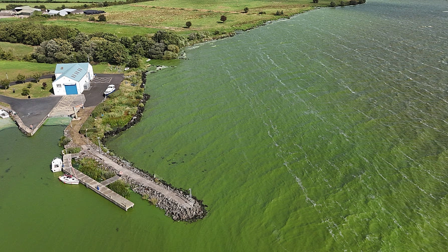 Muir pledges bold climate and biodiversity action for Northern Ireland