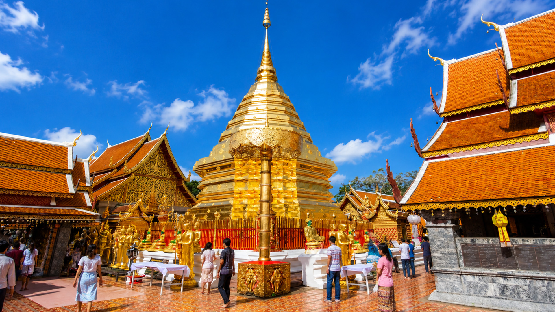 Why is this golden stupa famous in Chiang Mai Thailand?