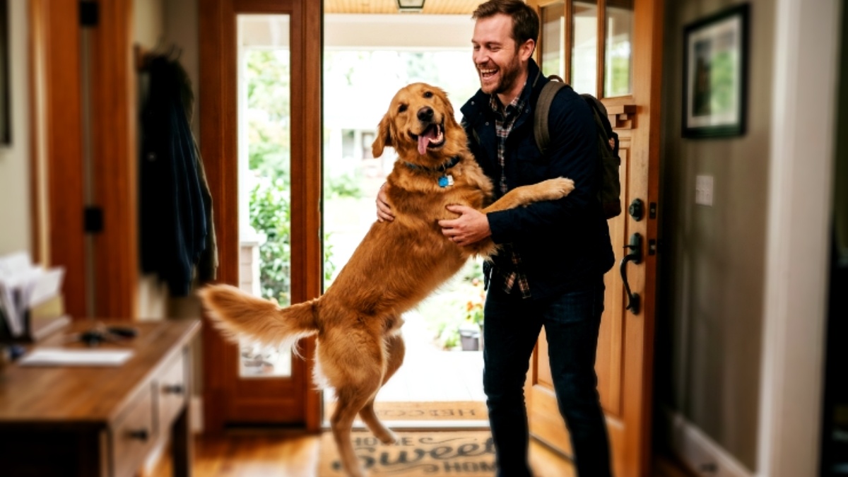 The emotional reason why your dog greets you with such excitement when ...