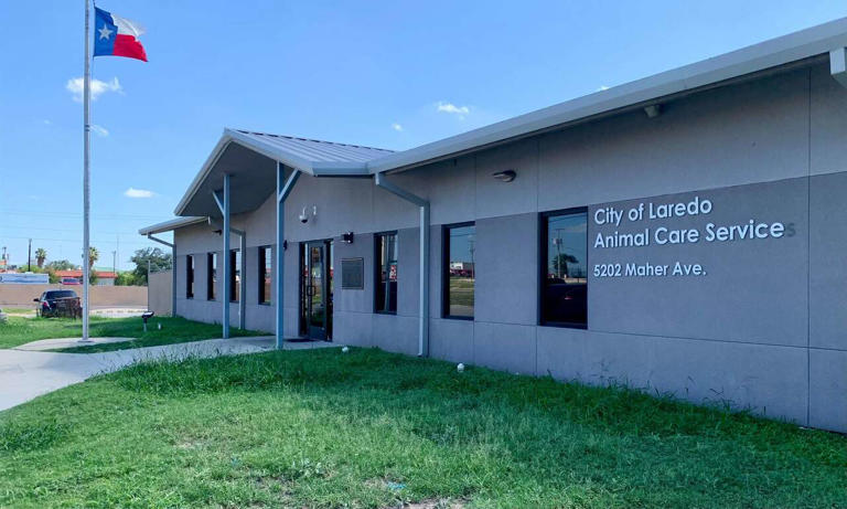 Laredo Animal Care Services launches Facebook page for lost pets, intakes