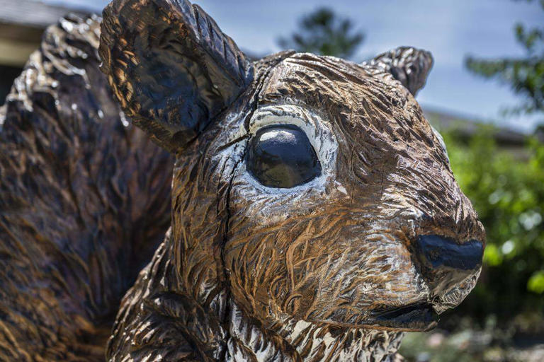Meet Butchy the squirrel and other Sacramento stumps turned into ...
