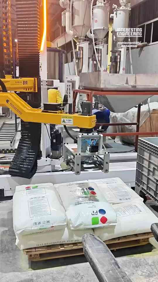 Robotic bag handling system