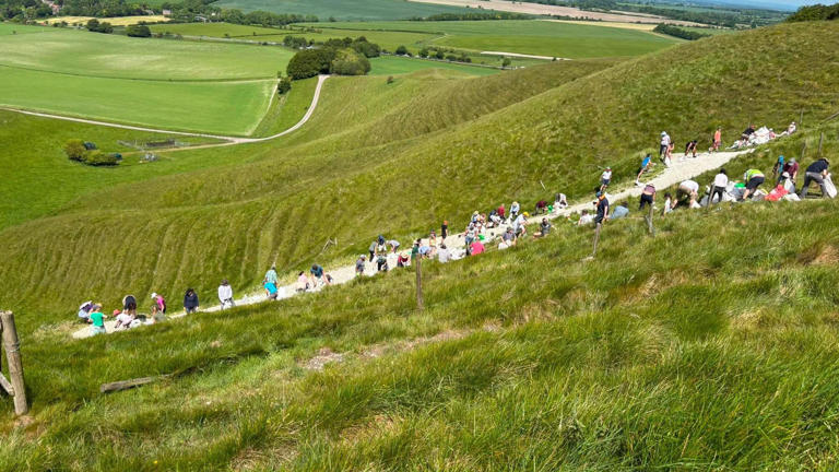 People create human chain to restore white horse