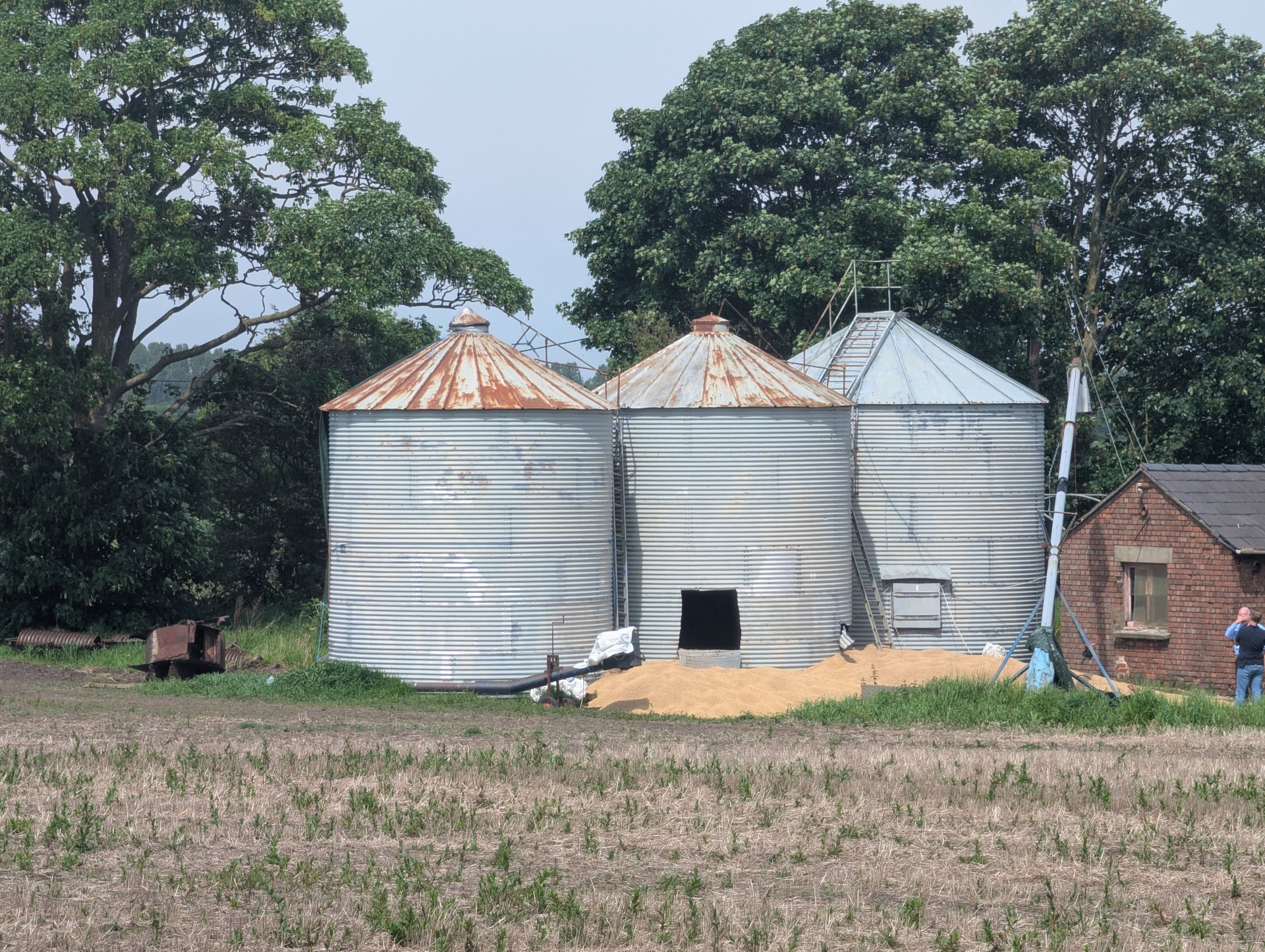 Farmer dies after becoming trapped inside grain silo