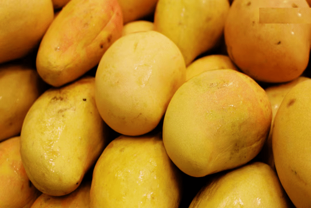 Right way to eat mango: Does your stomach get upset after eating mango ...
