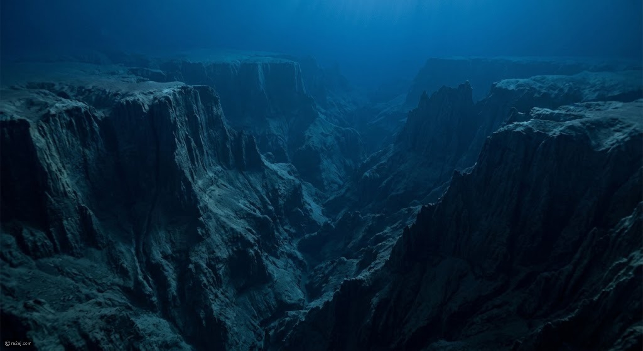 A giant squid longer than a school bus rises from 1,500 feet in rare ...