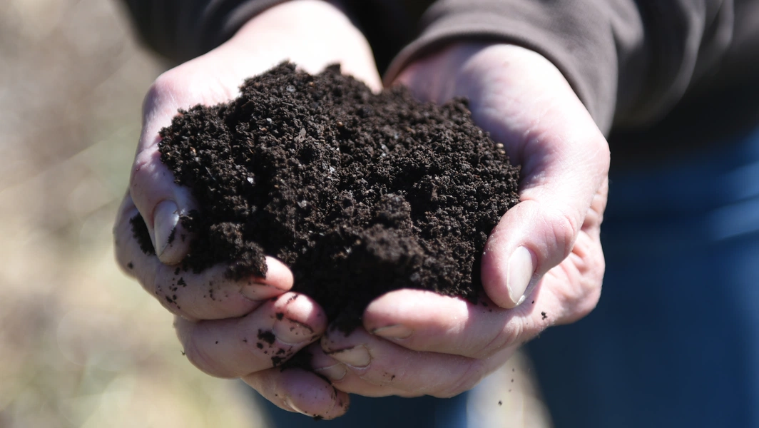 Healthy soil secrets for thriving gardens